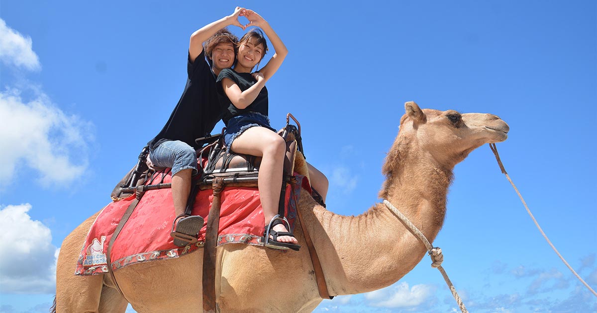 Bali Camel Ride at Nusa Dua At Affordable Price [2025]