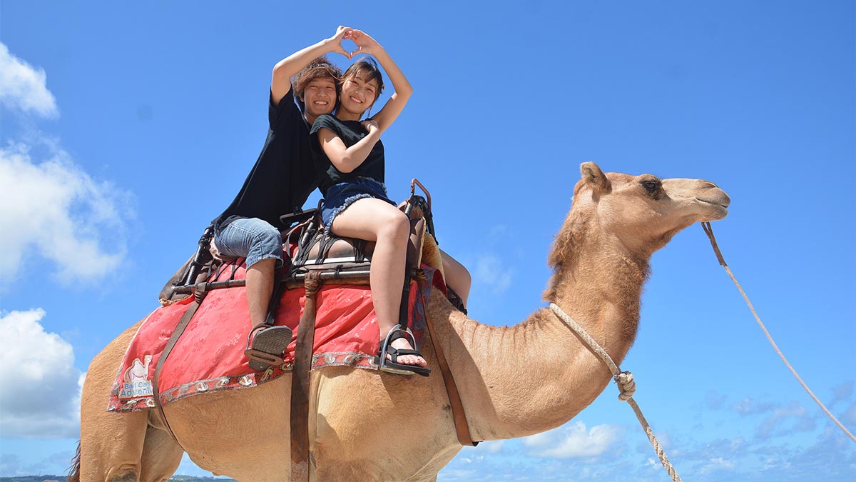 Bali Camel Ride at Nusa Dua At Affordable Price [2025]