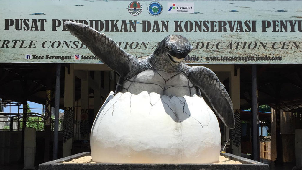 Serangan Turtle Conservation Centre: Bali's Eco-Gem